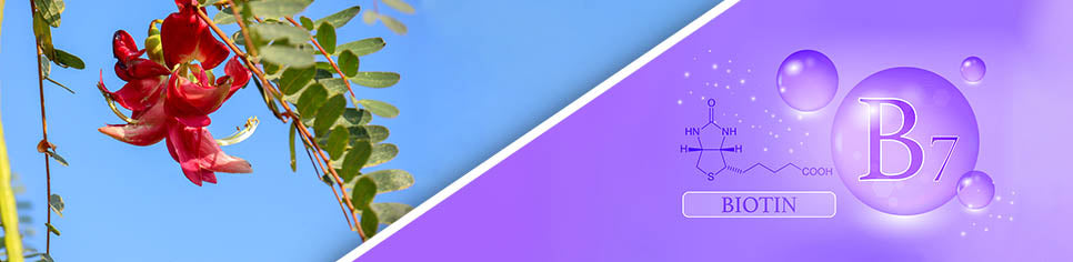 Plant-Based Biotin or D-Biotin: Which is the Best for Your Hair? – My ...